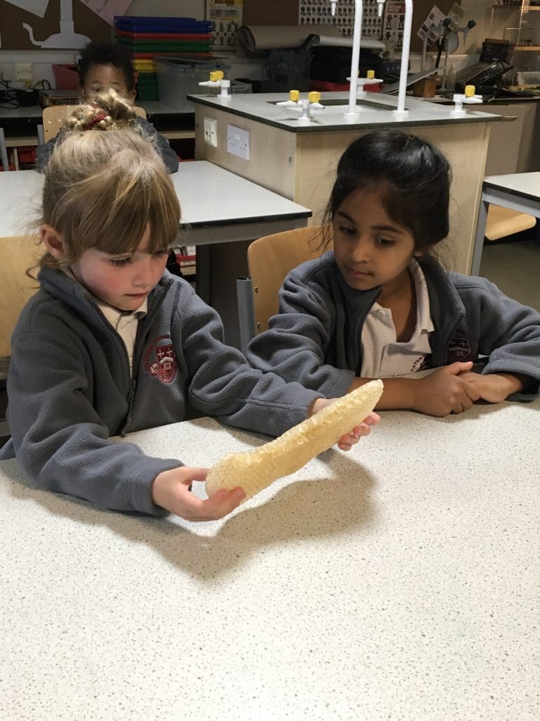 Keep BEEing Amazing Year 1! - Caterham Prep