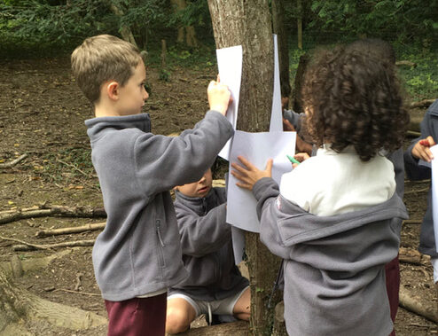 Pre-Prep Grow Their Tree Knowledge - Caterham Prep