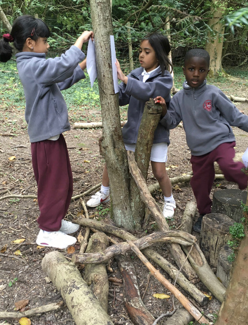 Pre-Prep Grow Their Tree Knowledge - Caterham Prep