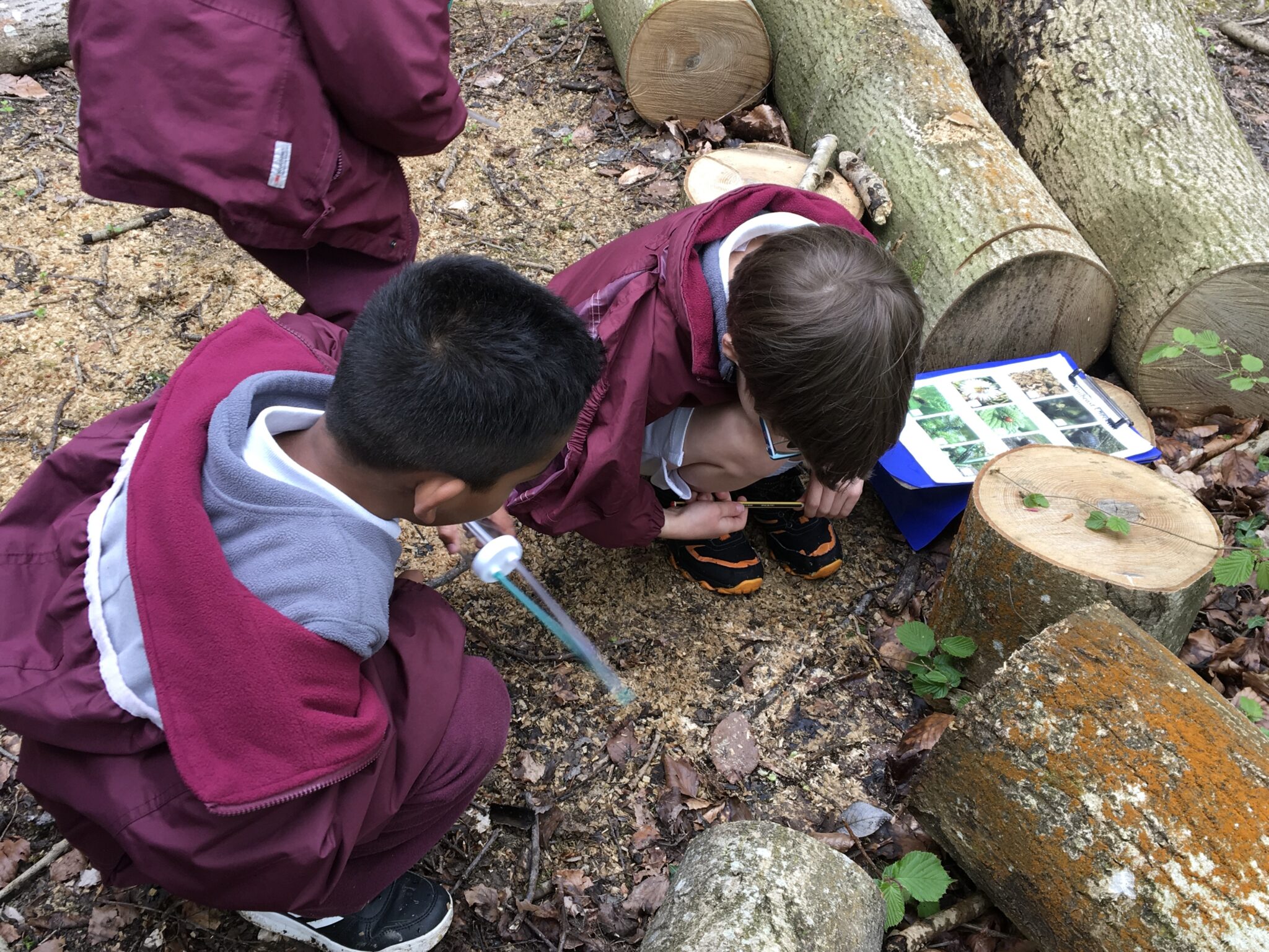 Year 2 Nature Detectives - Caterham Prep