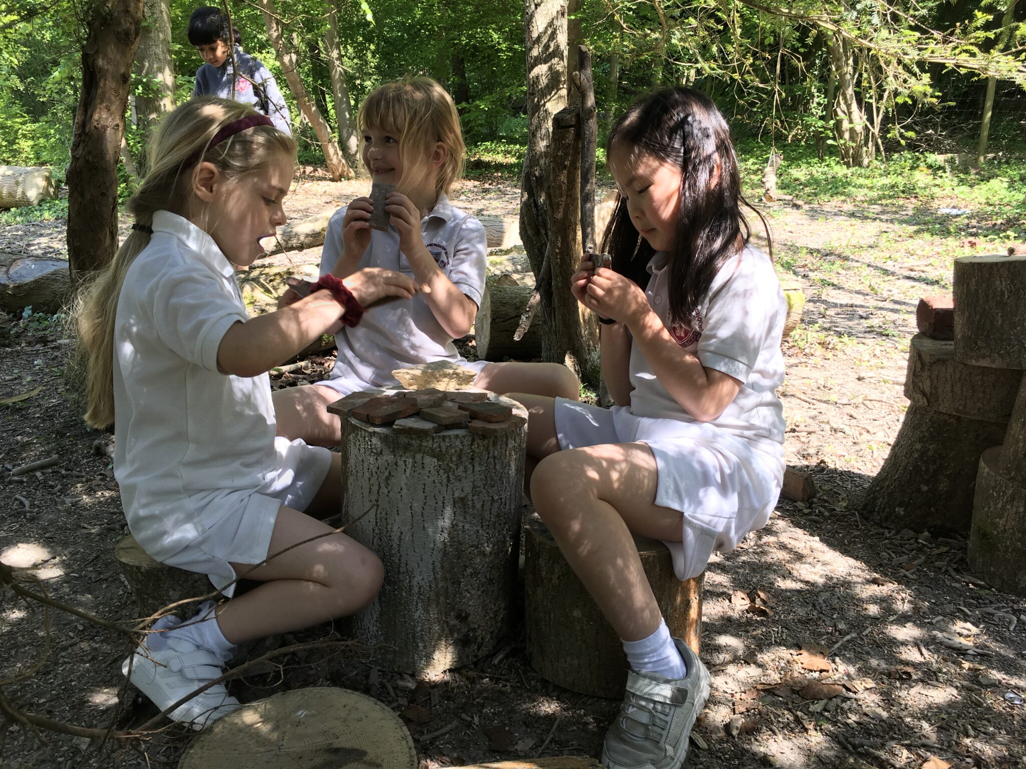 Year 1 Explore the Woodland - Caterham Prep
