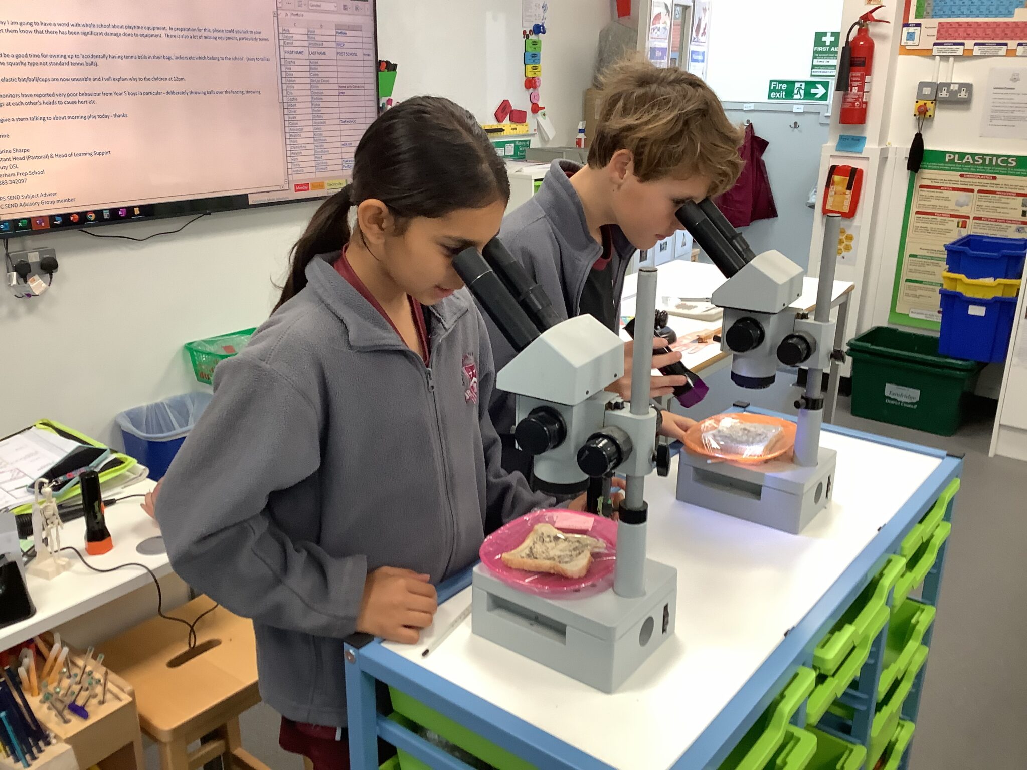 Year 6 Go Mouldy! - Caterham Prep