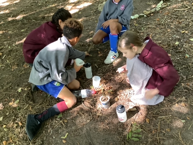 Year 5 River Studies in Global - Caterham Prep