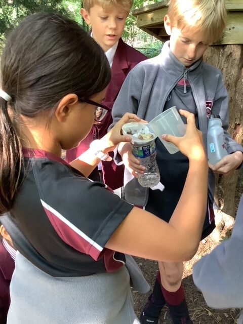 Year 5 River Studies in Global - Caterham Prep
