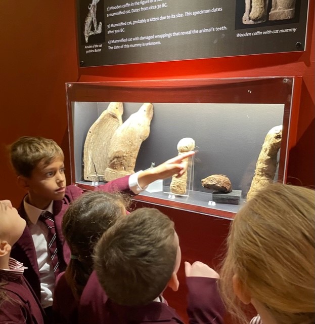 Haslemere Museum Mummification - Caterham Prep