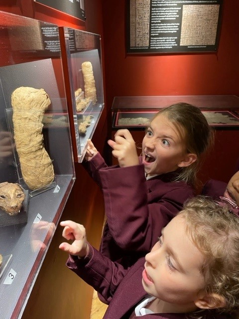 Haslemere Museum Mummification - Caterham Prep