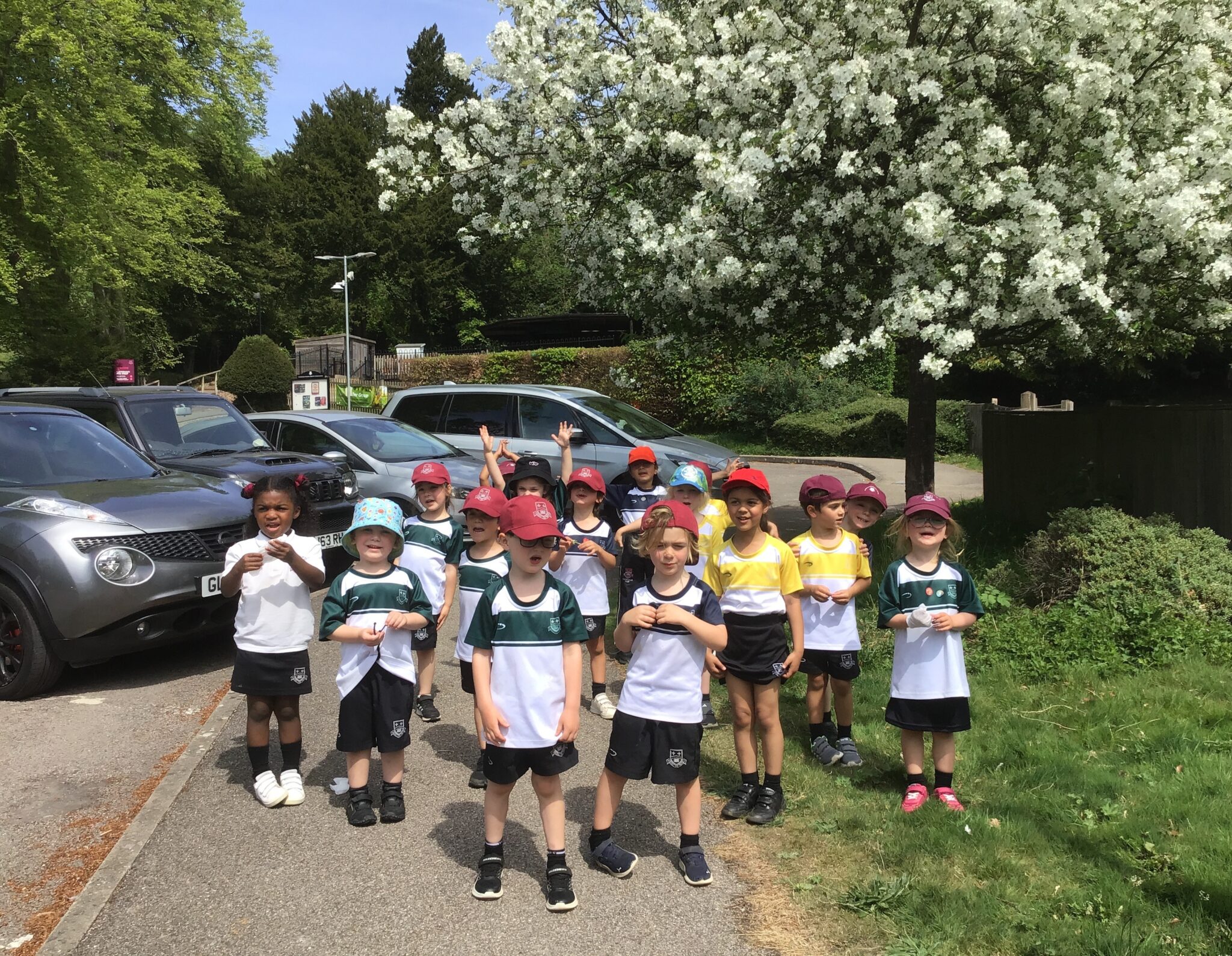 Pre-Prep Outdoor Learning, Noticing Nature - Caterham Prep