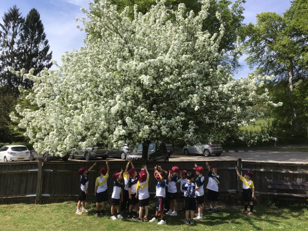 Pre-Prep Outdoor Learning, Noticing Nature - Caterham Prep