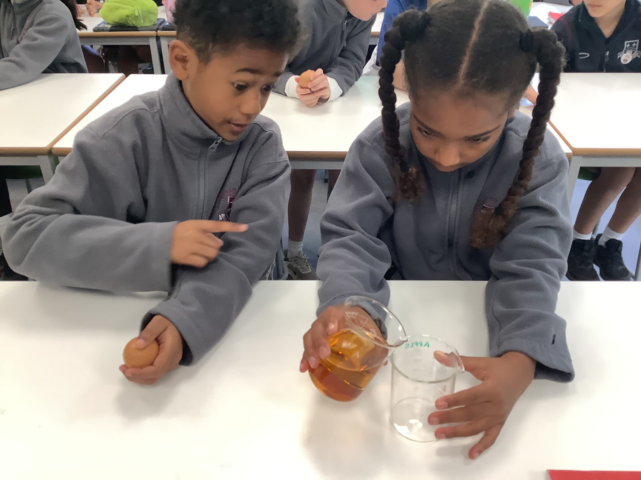 Year Four and Five Science Collab - Caterham Prep