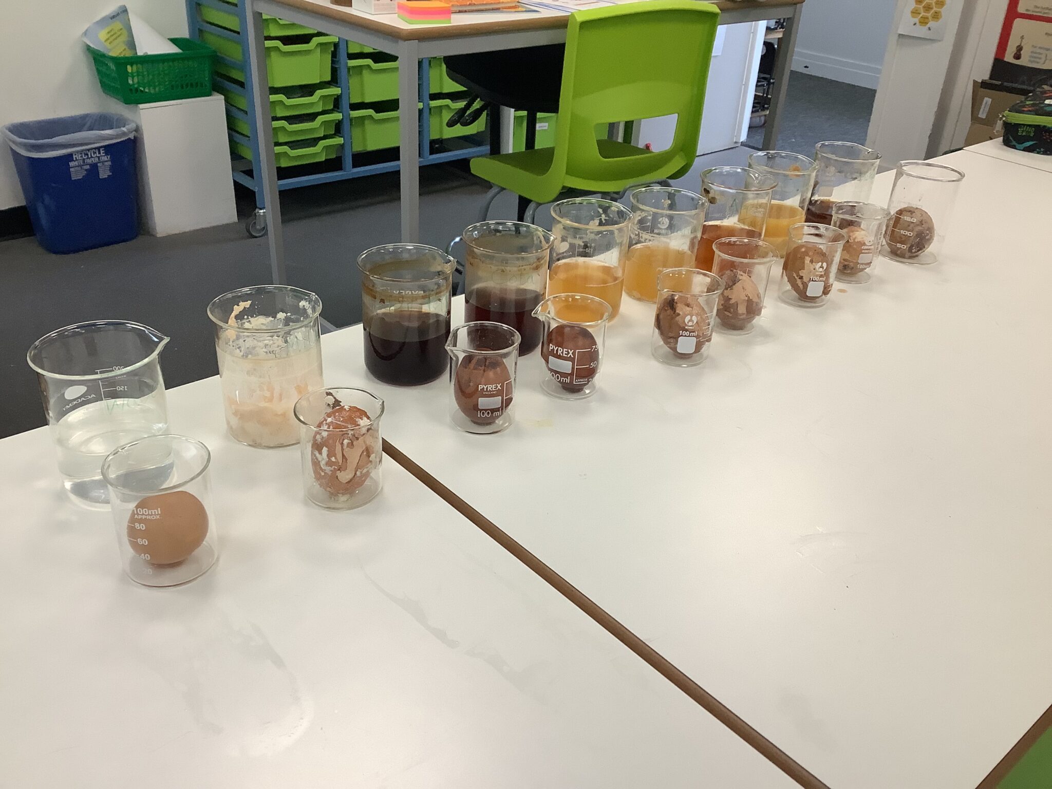 Year 4 Eggcellent Science - Caterham Prep